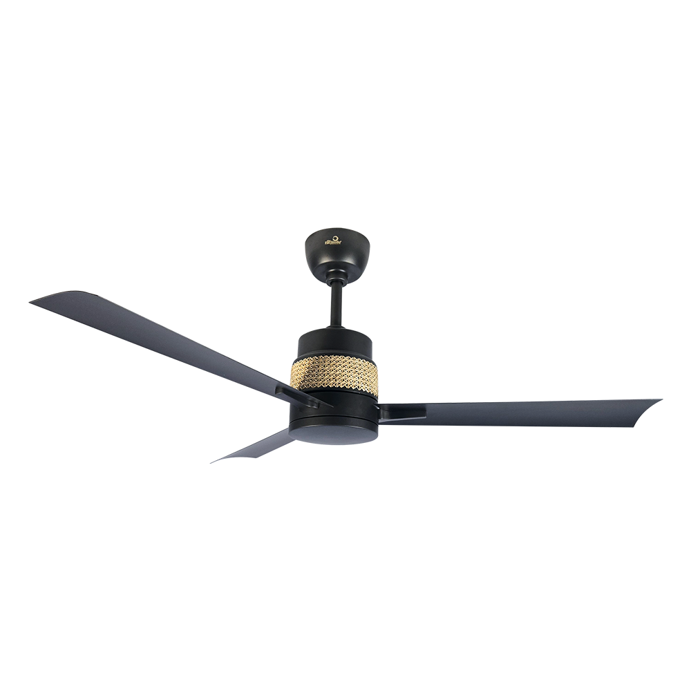 Desire Cane Ceiling Fan – Stylish & Sleek | The Fan Studio