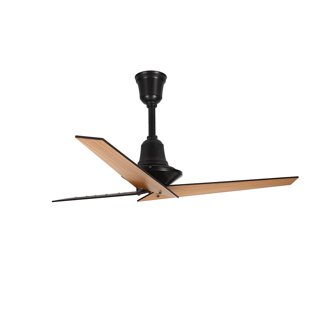 Florence Ceiling Fan – Elegant & Modern | The Fan Studio