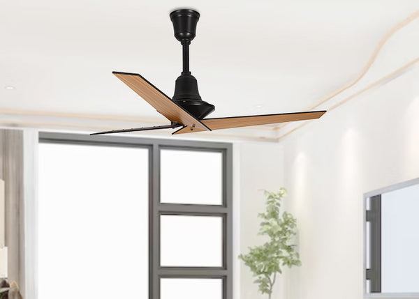 Florence Ceiling Fan – Elegant & Modern | The Fan Studio